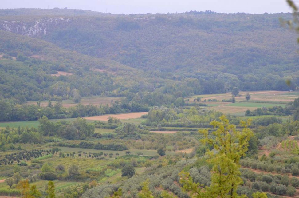 Mammalwatching in Slovenia + Risnjak NP – Ralfs' Wildlife and Wild Places