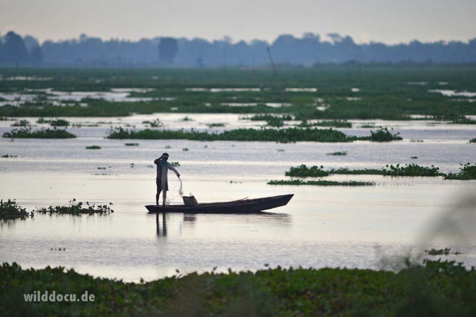 Magic Mishmis – A wildlife watching trip to India’s furthest ...