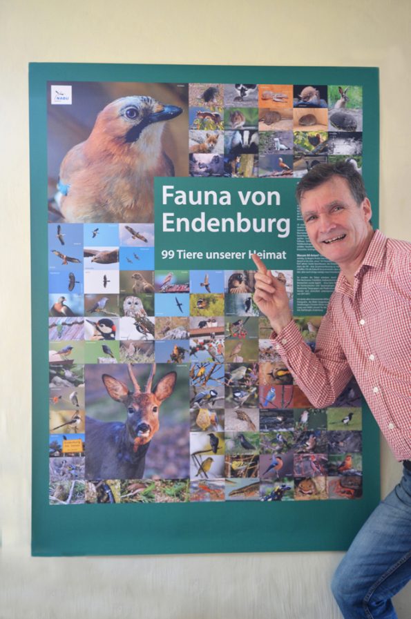 „Lokale-Fauna-Poster“ – Projektvorstellung – Ralfs' Wildlife and Wild ...