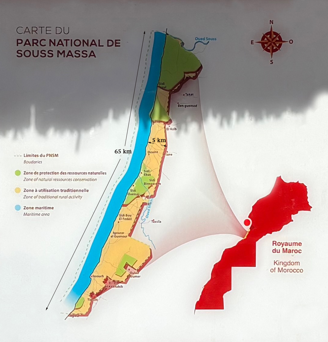 Meeting mammals in Morocco – Ralfs' Wildlife and Wild Places
